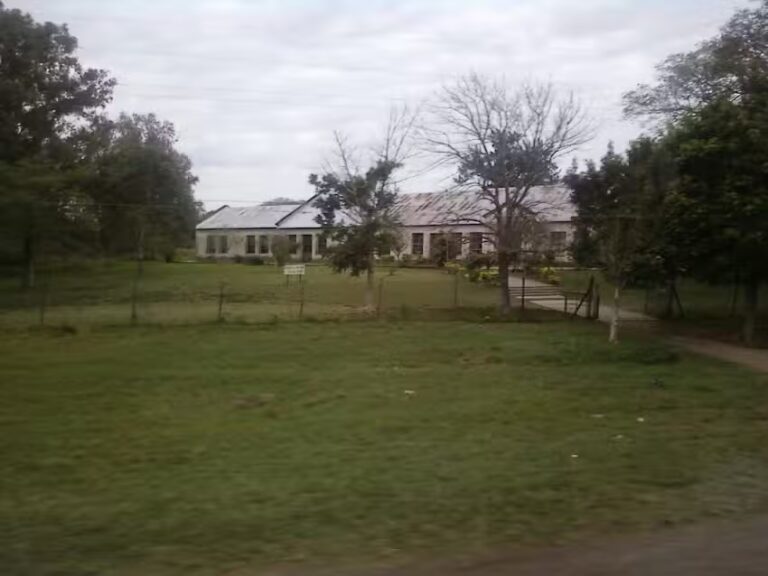 Escuela Primaria Nº 499 F Antonio Rizzuto - Escuelas y Universidades